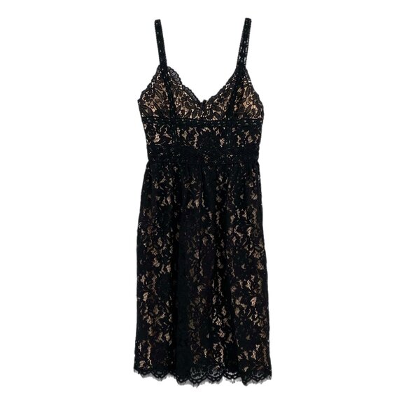 HD in Paris | Dresses | Hd In Paris Black Tan Lace Overlay Midi Dress ...